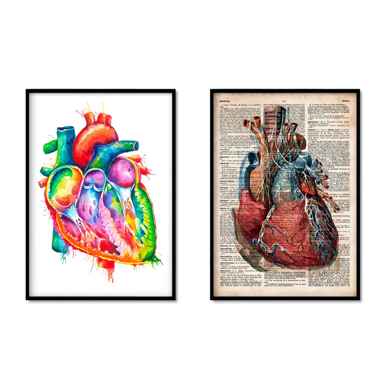 Heart anatomy Mix - Set of 5 - Codex Anatomicus