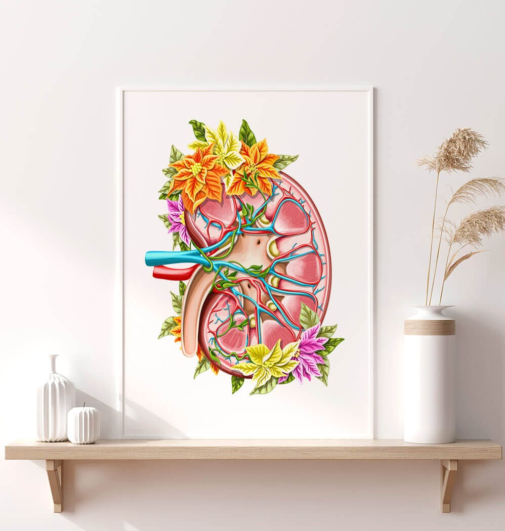 Floral watercolor kidney anatomy art print – Codex Anatomicus