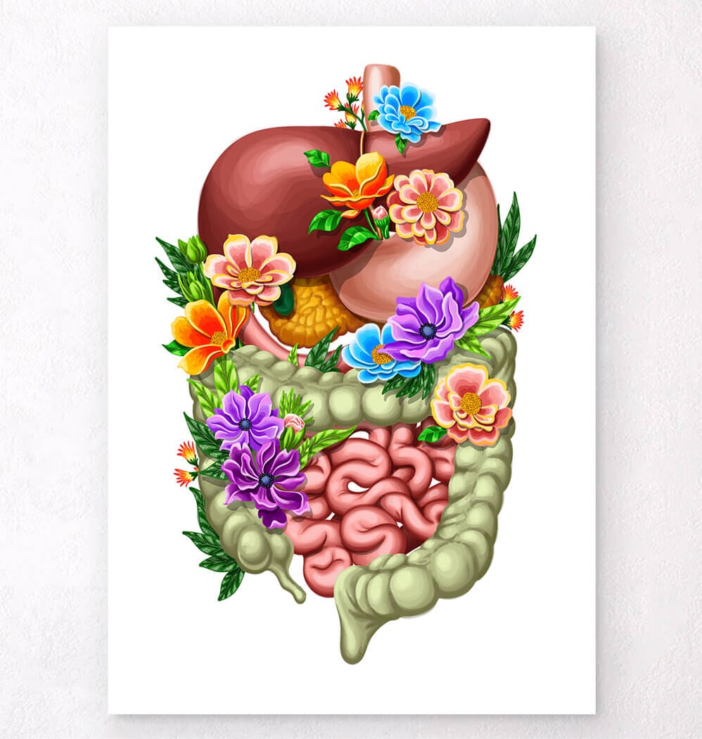Digestive system anatomy art print by Codex Anatomicus