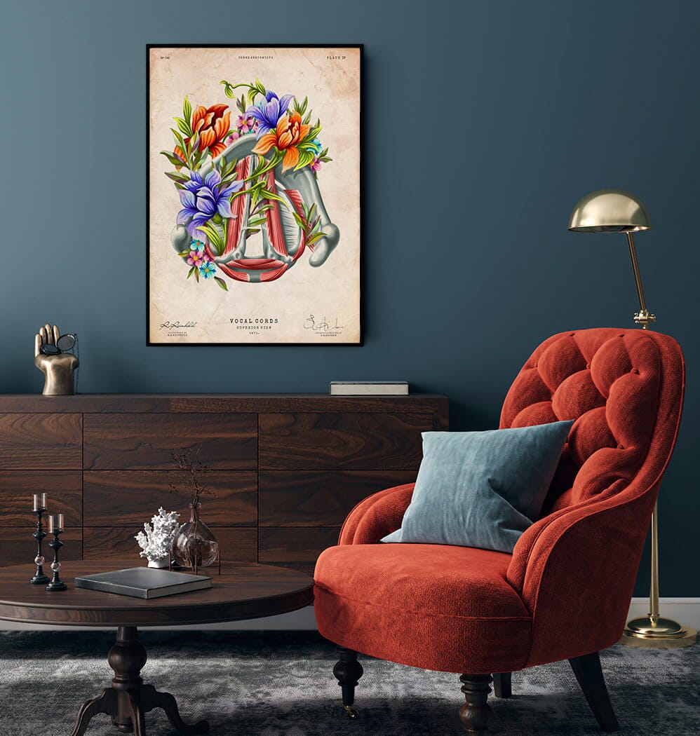 Vocal cords anatomy - Codex Anatomicus