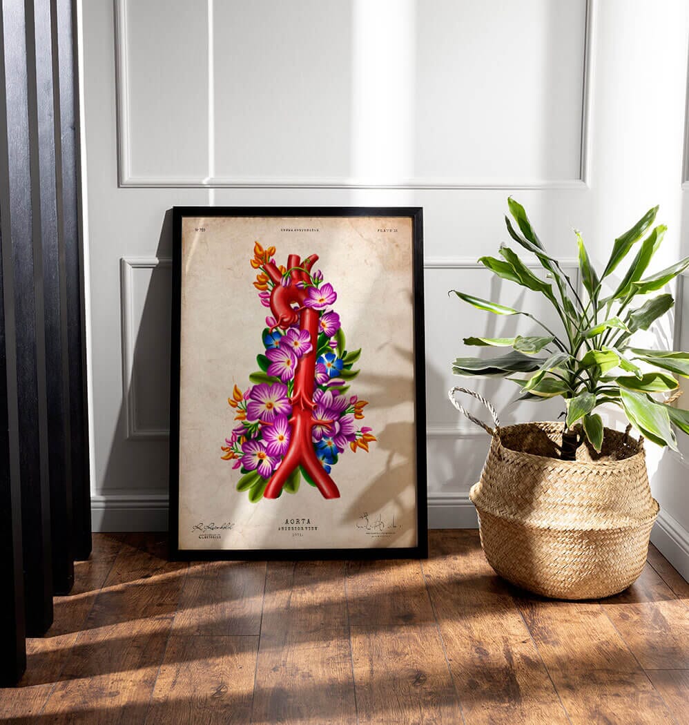 Aorta - Vintage Anatomie Poster - Codex Anatomicus®