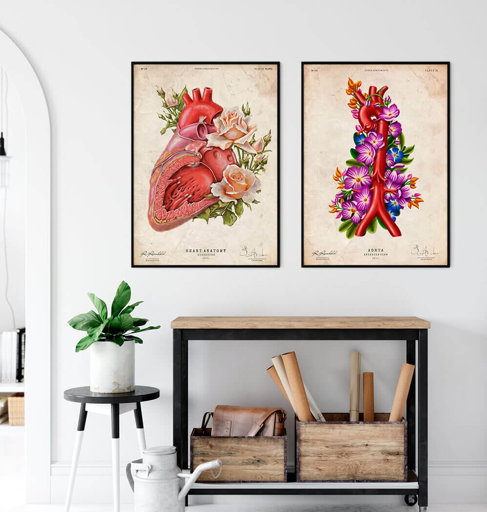 Aorta - Vintage Anatomie Poster - Codex Anatomicus®