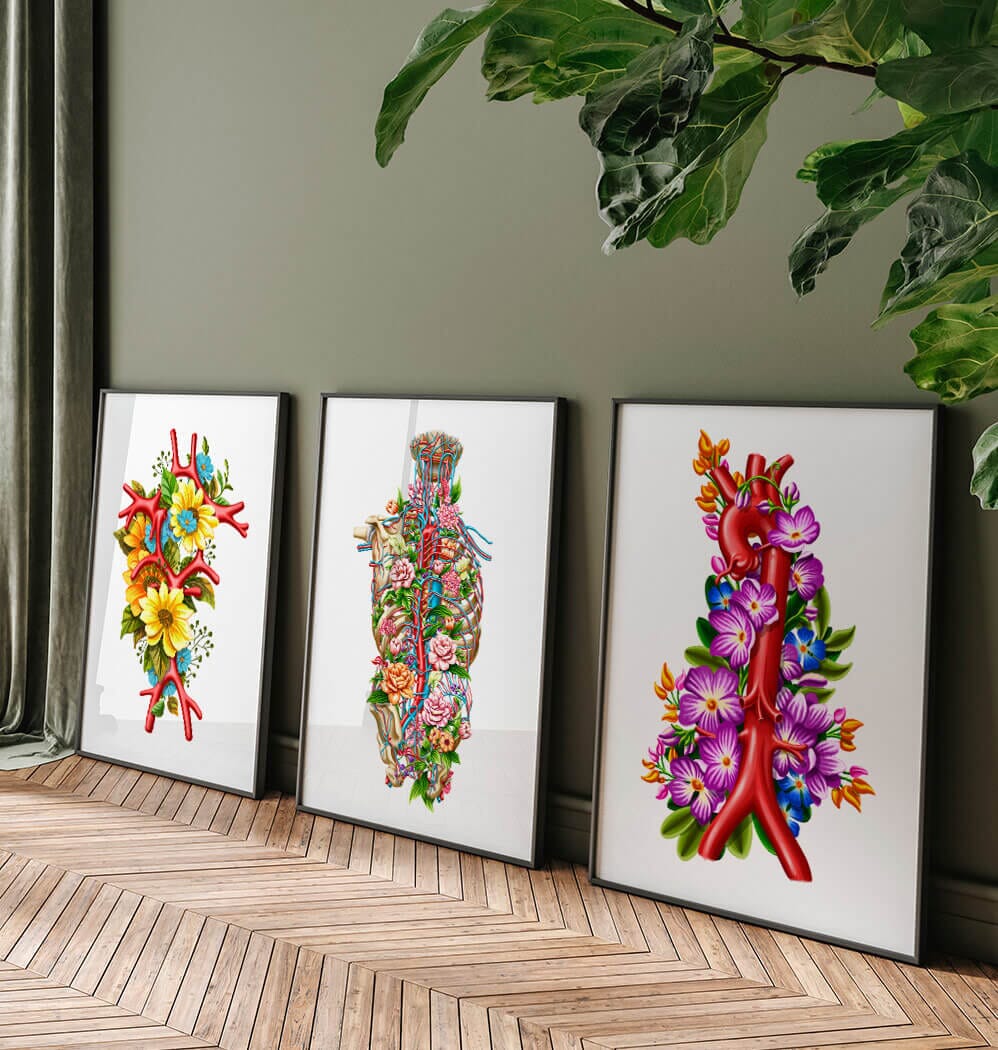 Aorta - Anatomie Poster - Codex Anatomicus®