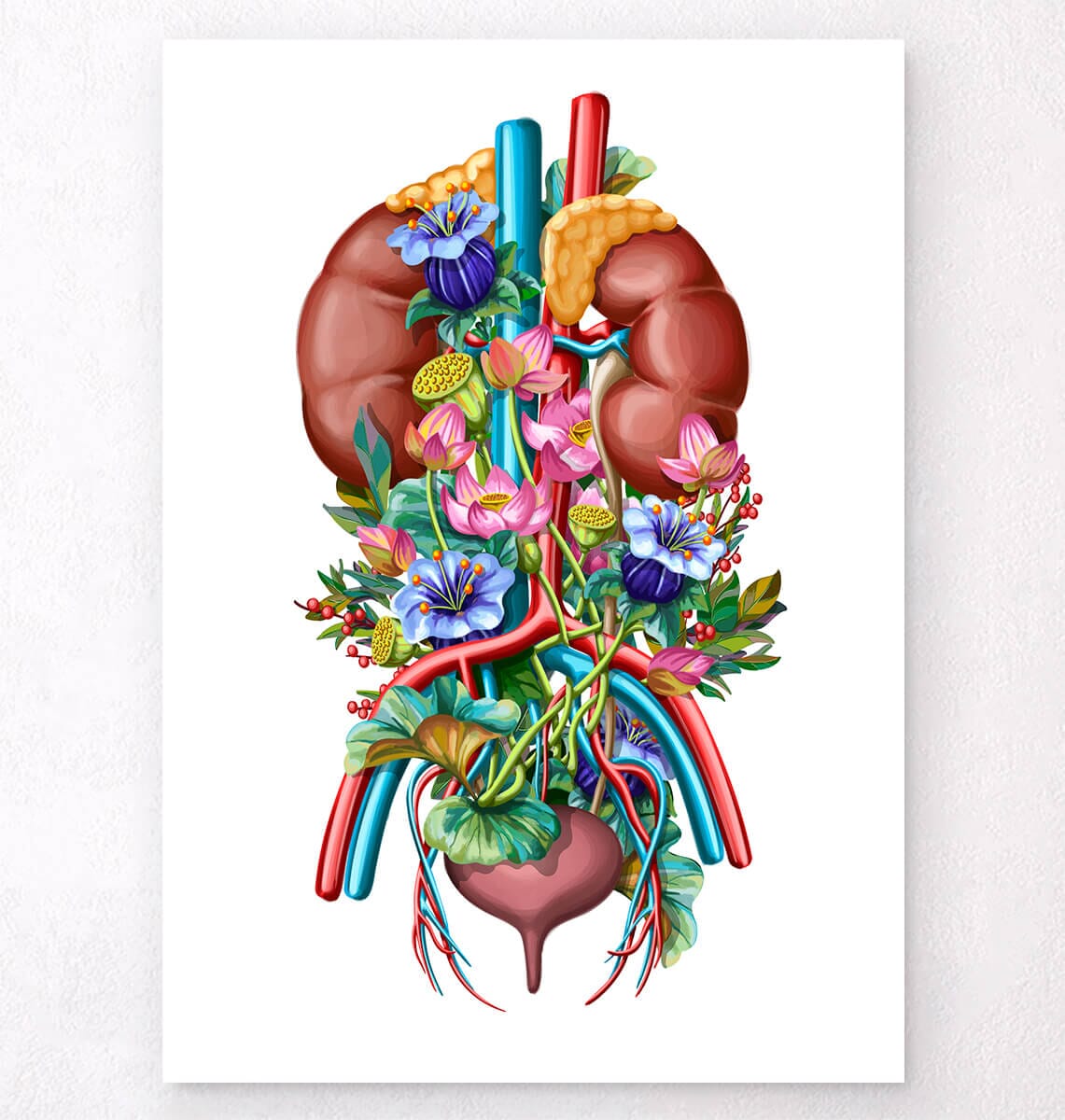 Floral urinary system anatomy art print – Codex Anatomicus