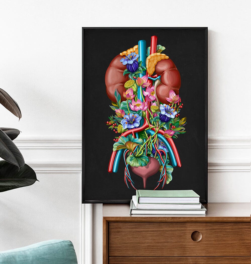 Floral urinary system anatomy art print – Codex Anatomicus