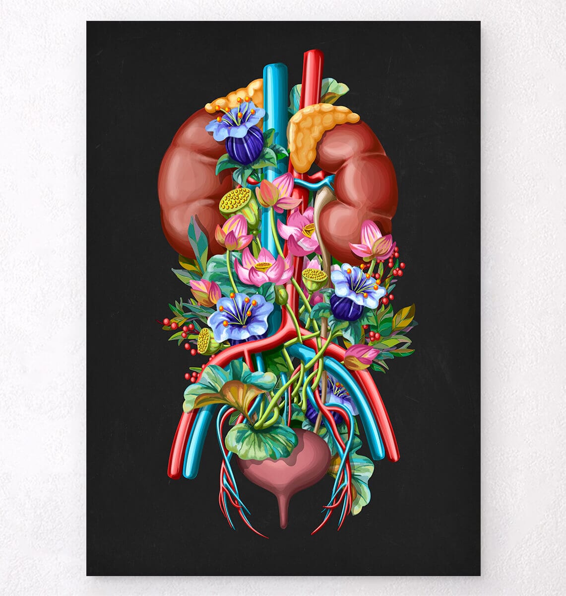 Floral urinary system anatomy art print – Codex Anatomicus