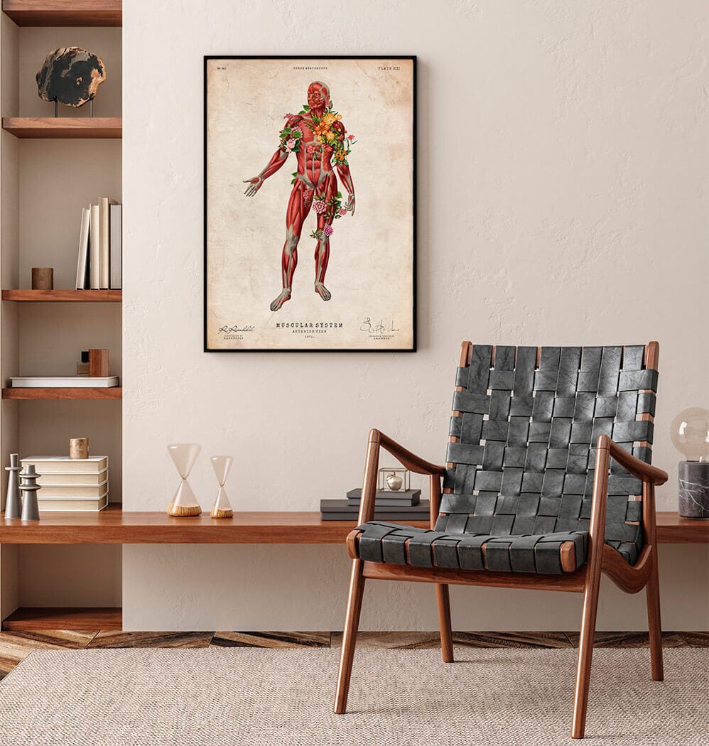 Muscles anatomy art - Codex Anatomicus
