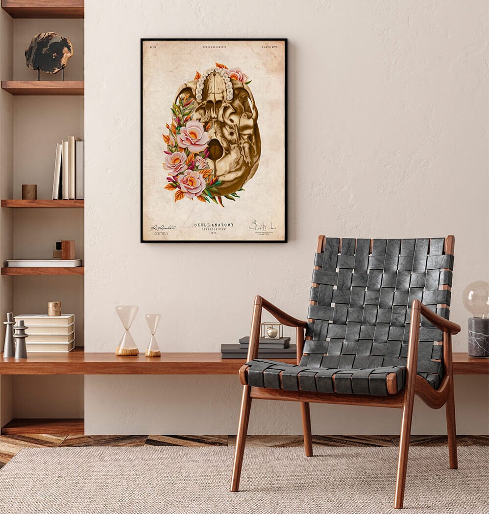 Skull inferior view poster – Codex Anatomicus