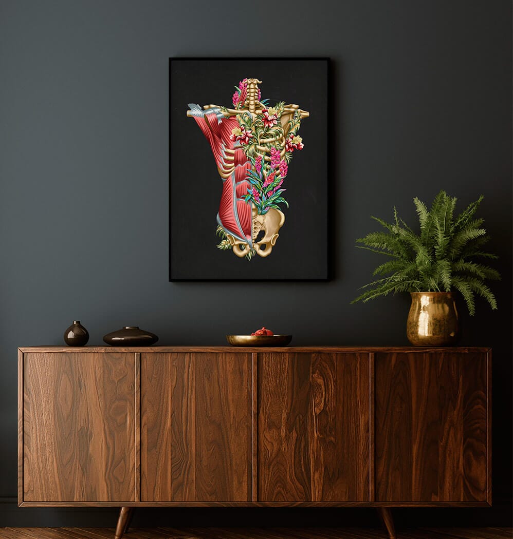 Torso Muscles And Bones Anatomy Art Codex Anatomicus