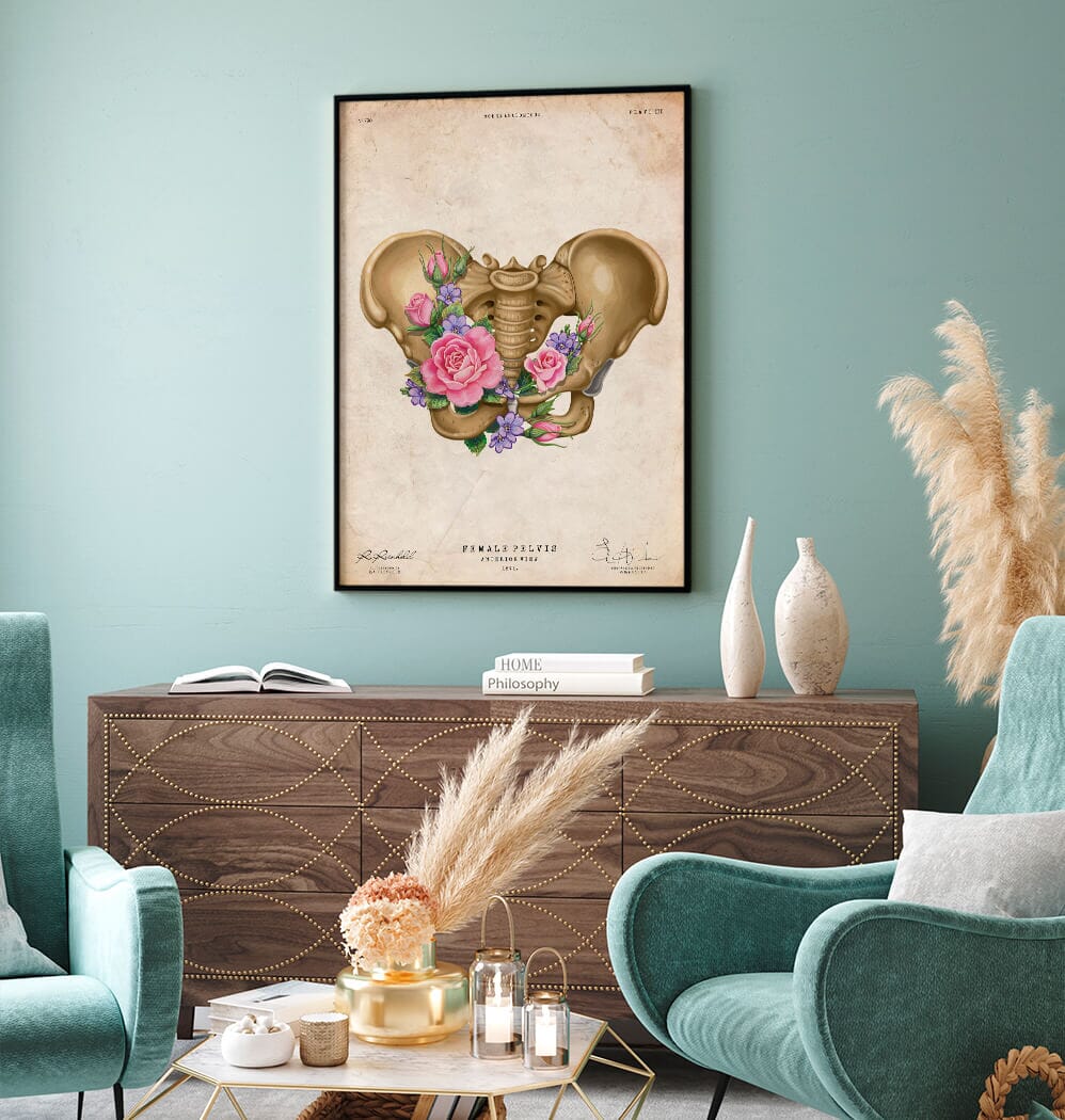 Pelvis anatomy - Floral - Vintage - Codex Anatomicus