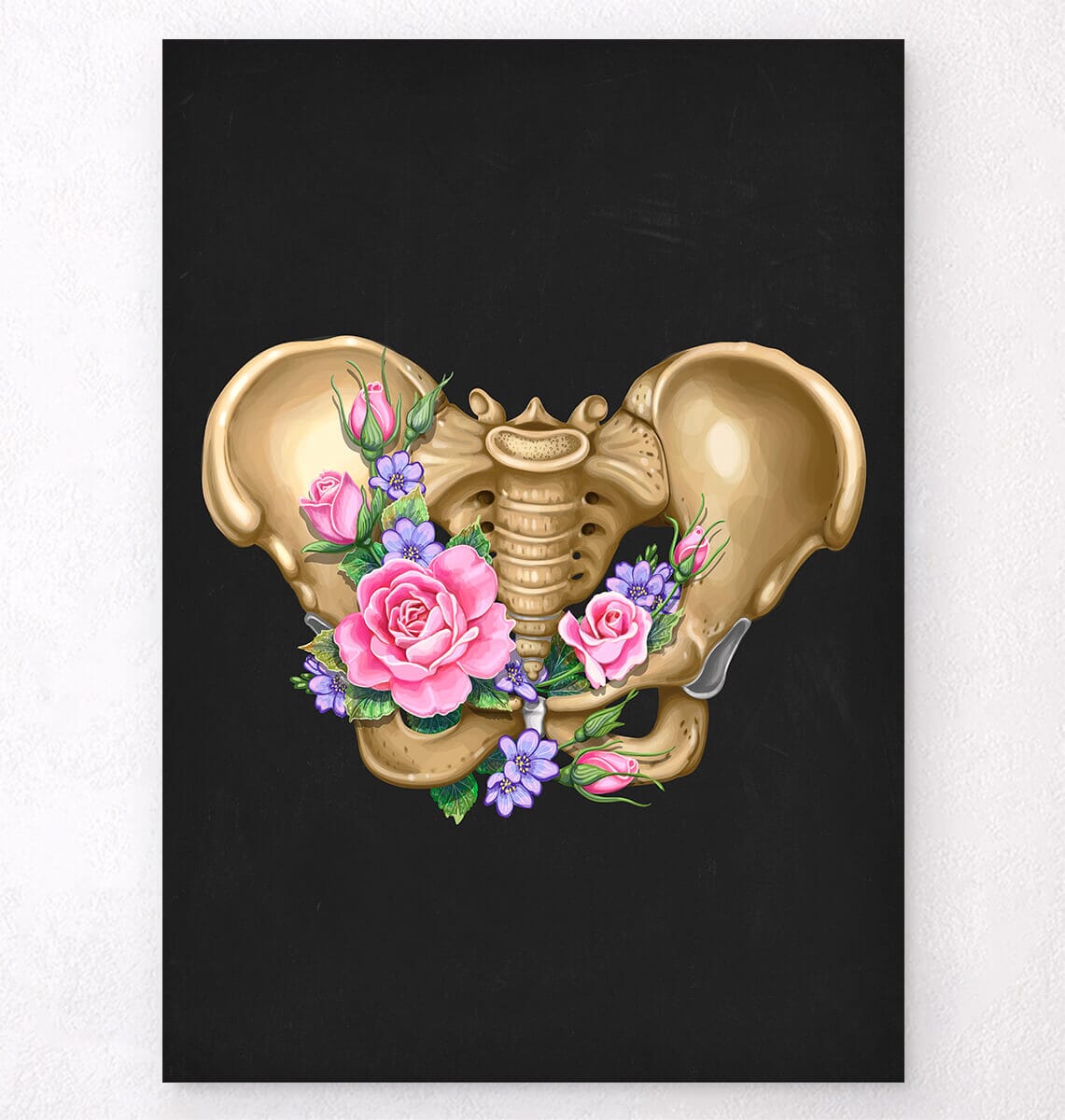 Pelvis anatomy - Floral - Vintage - Codex Anatomicus