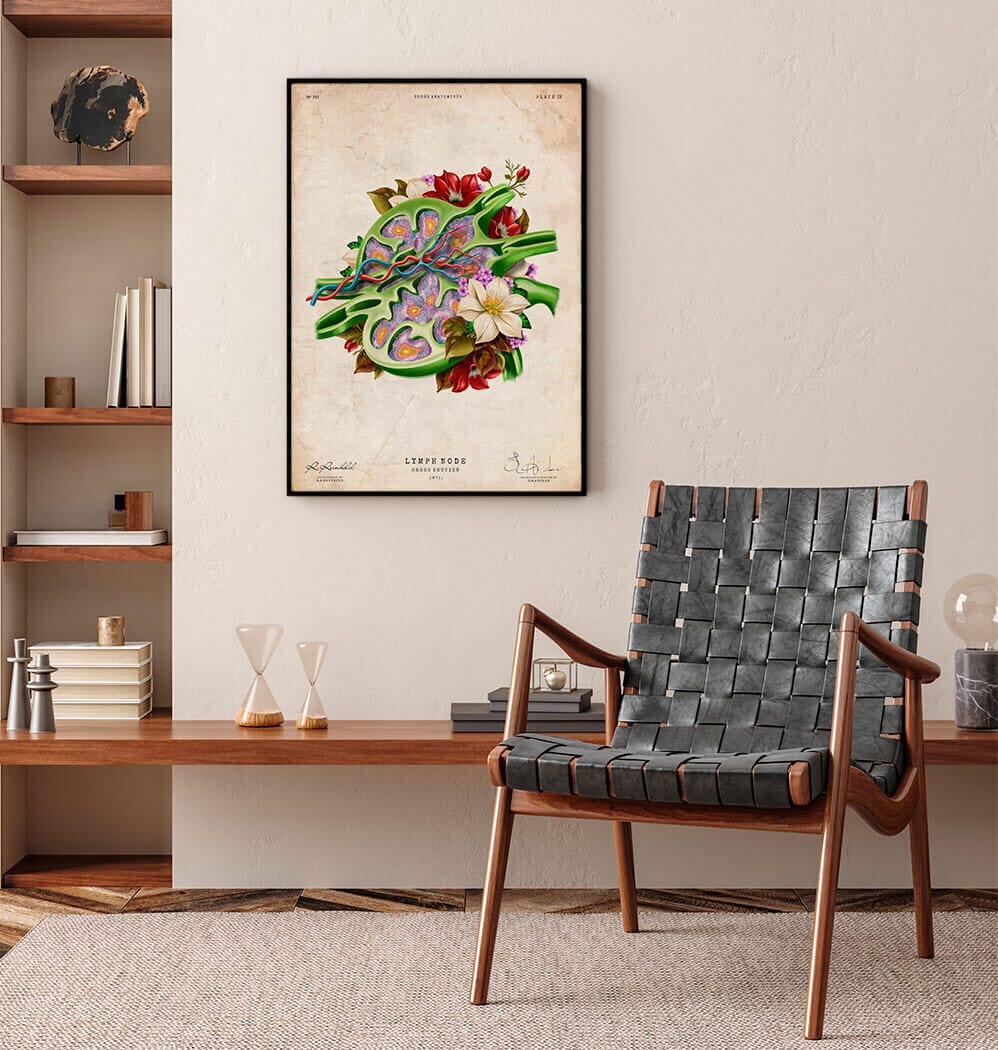 Lymph Node Art Print - Codex Anatomicus