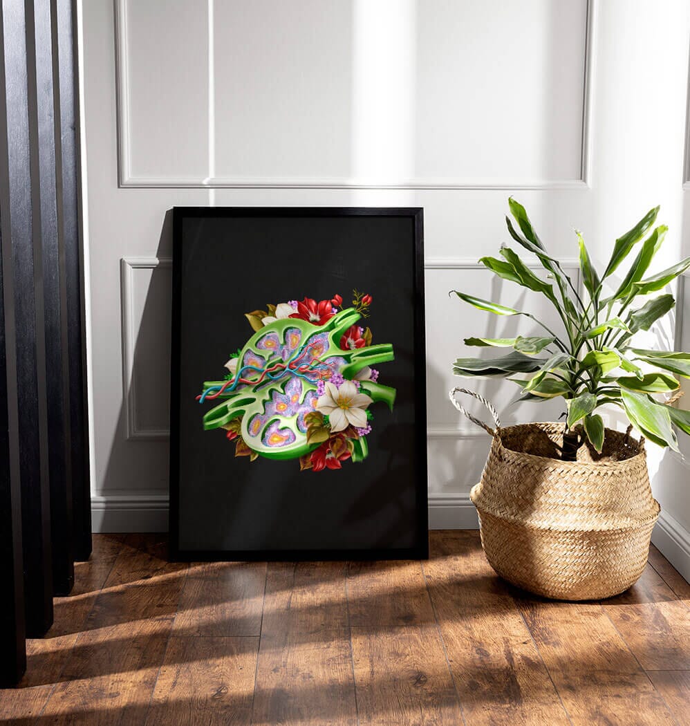 Lymph Node Art Print - Codex Anatomicus