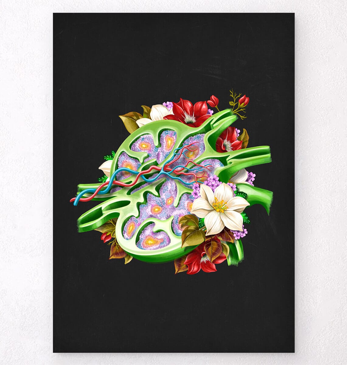 Lymph Node Art Print - Codex Anatomicus