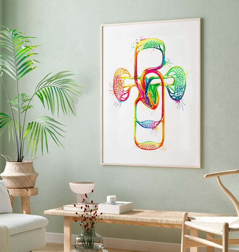 Cardiovascular system - Anatomy Art - Codex Anatomicus