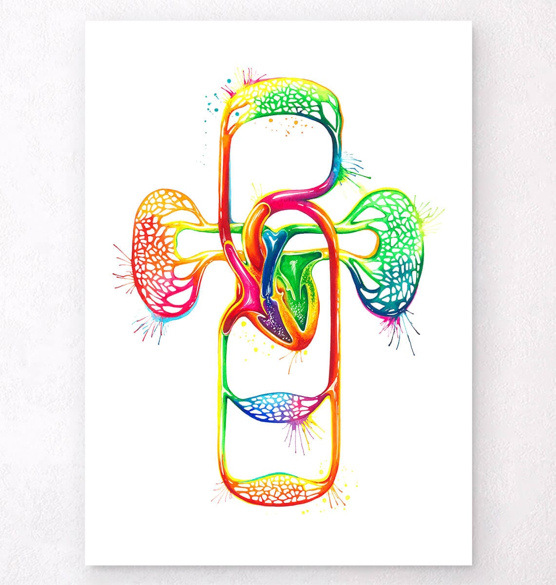 Cardiovascular system - Anatomy Art - Codex Anatomicus