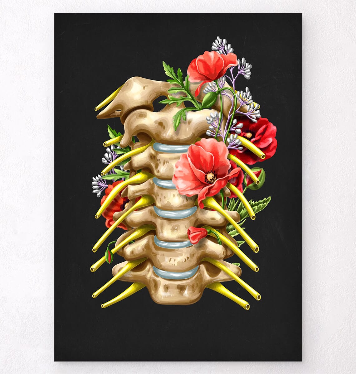 Cervical spinal nerves anatomy with flowers anatomy art diagram – Codex ...