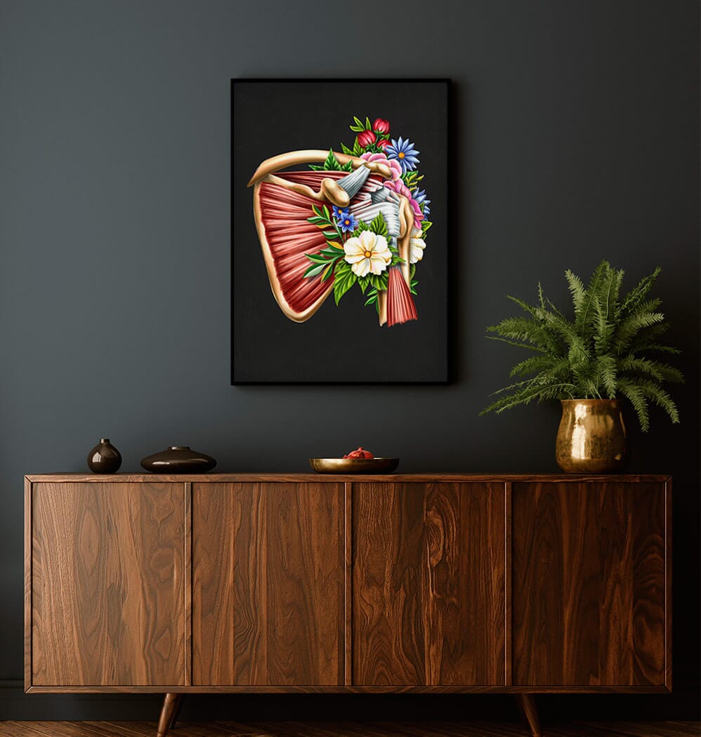 Rotator cuff tear anatomy art - Floral - Codex Anatomicus
