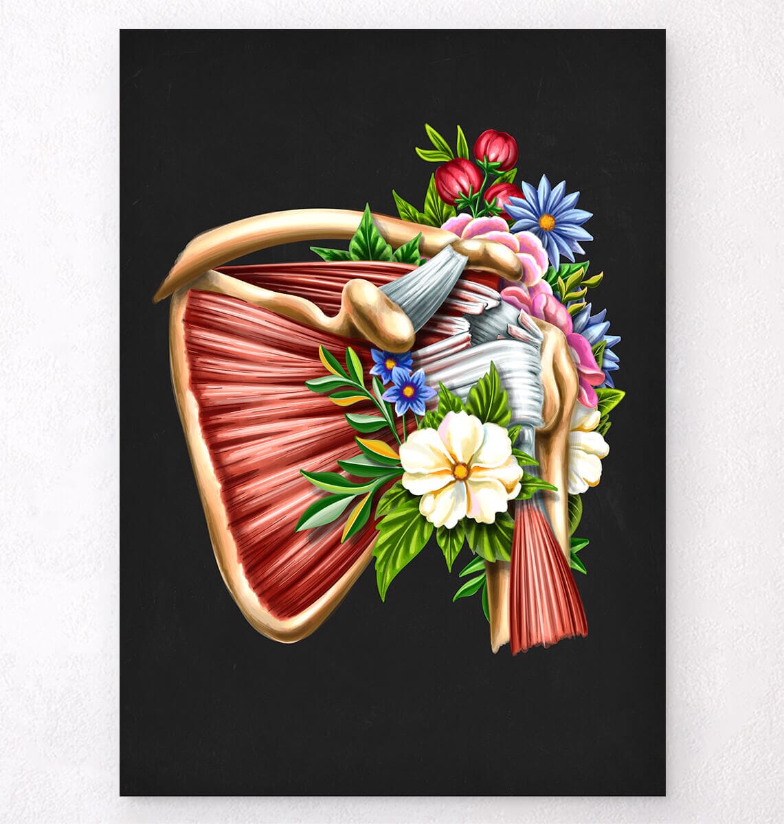 Rotator cuff tear anatomy art - Floral - Codex Anatomicus