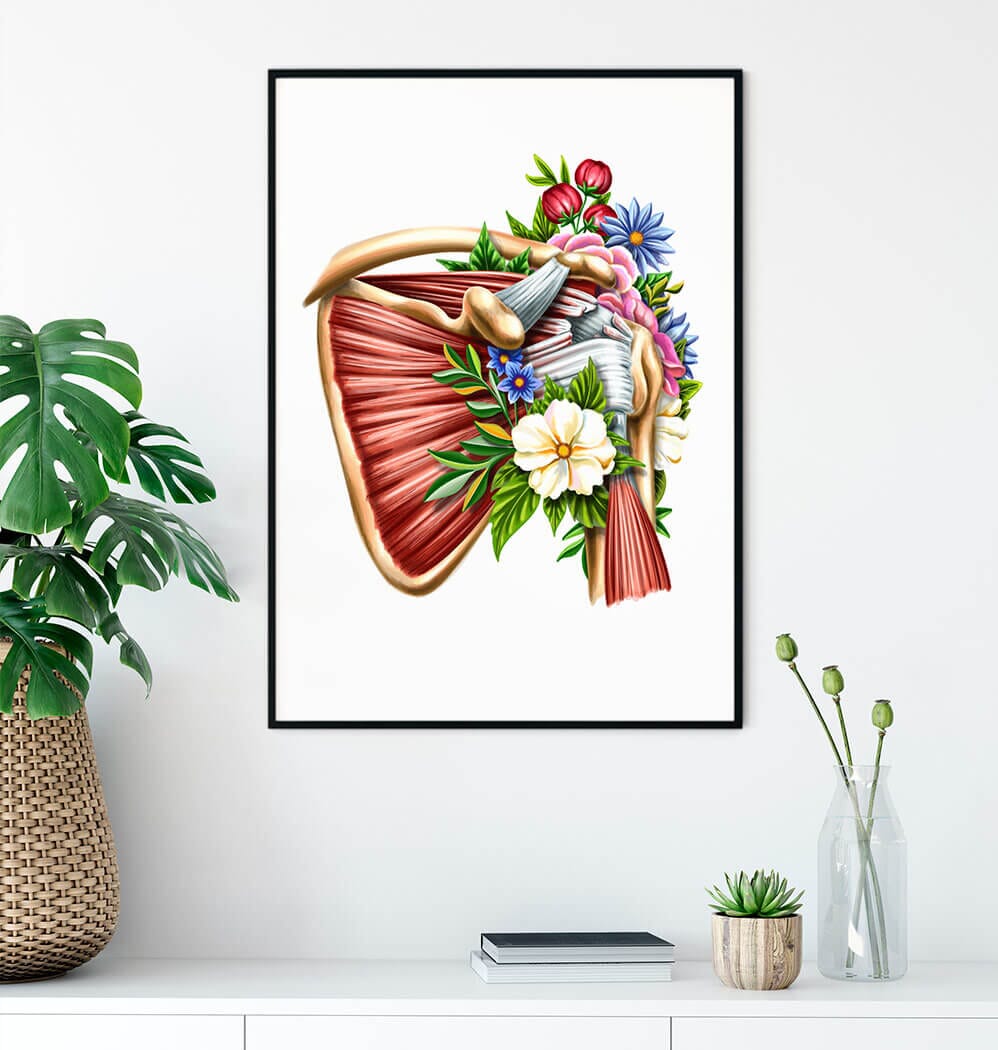 Rotator cuff tear anatomy art - Floral - Codex Anatomicus