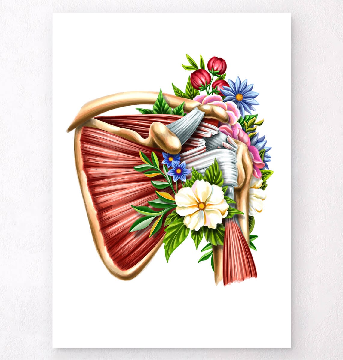 Rotator cuff tear anatomy art - Floral - Codex Anatomicus