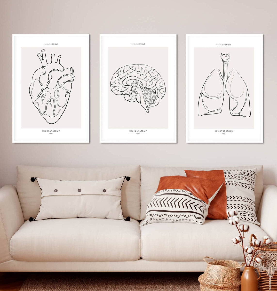 Bestsellers Line Art Anatomy Art Set of 3 - Codex Anatomicus