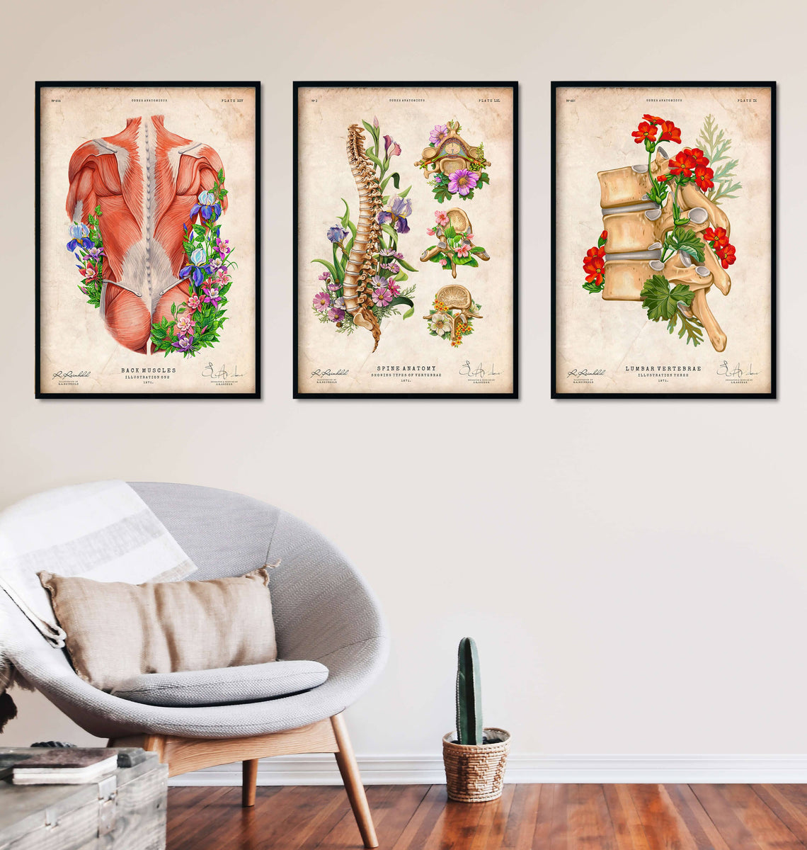 Spine & Back muscles Floral Anatomy Art Set of 3 - Codex Anatomicus