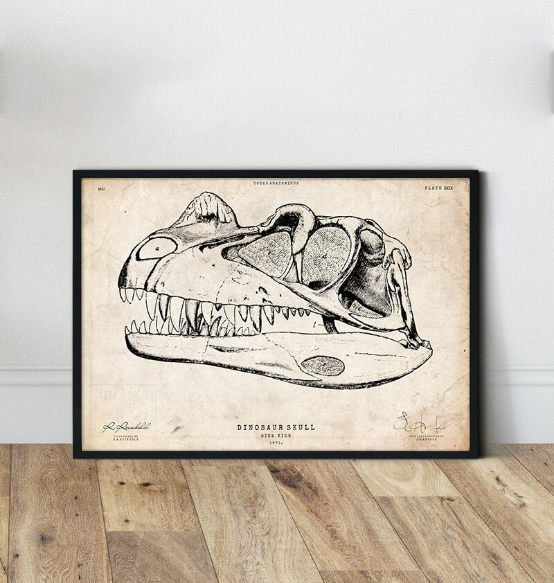 Dinosaur skull print – Codex Anatomicus