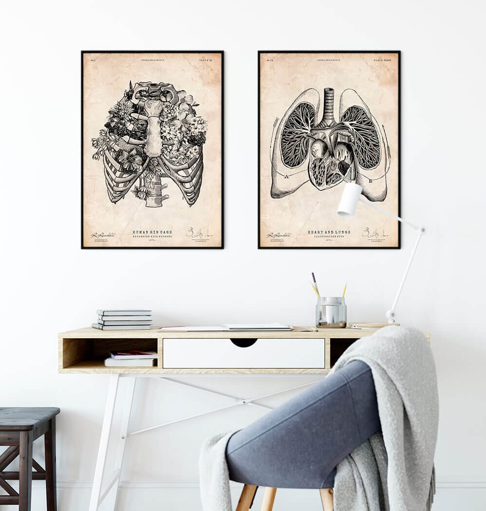 Heart and Lungs anatomy poster – Codex Anatomicus