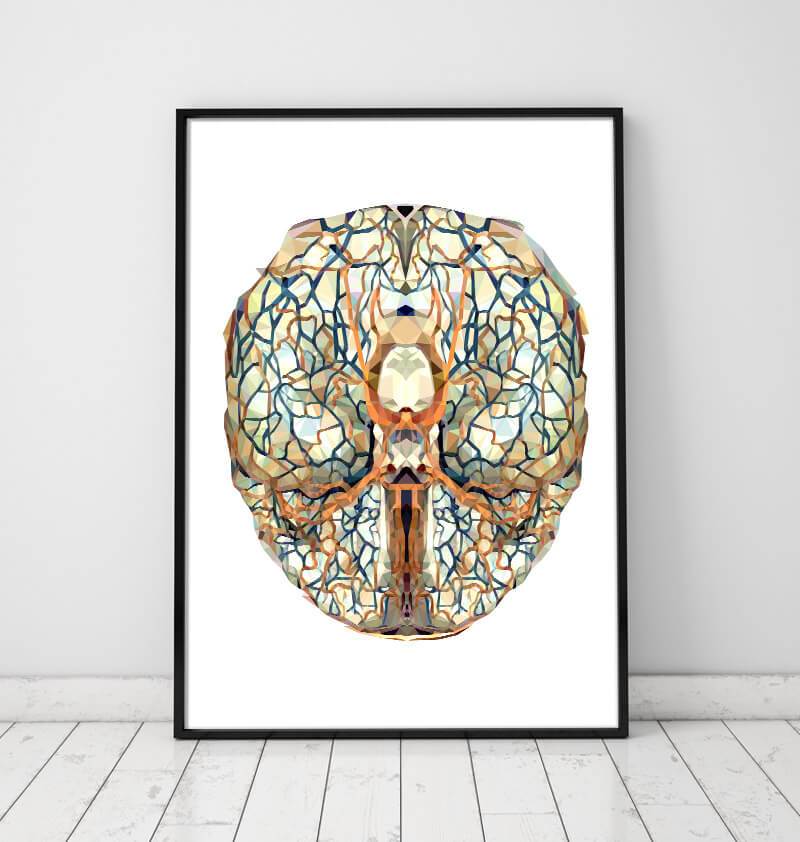 Geometrical brain anatomy art - Codex Anatomicus