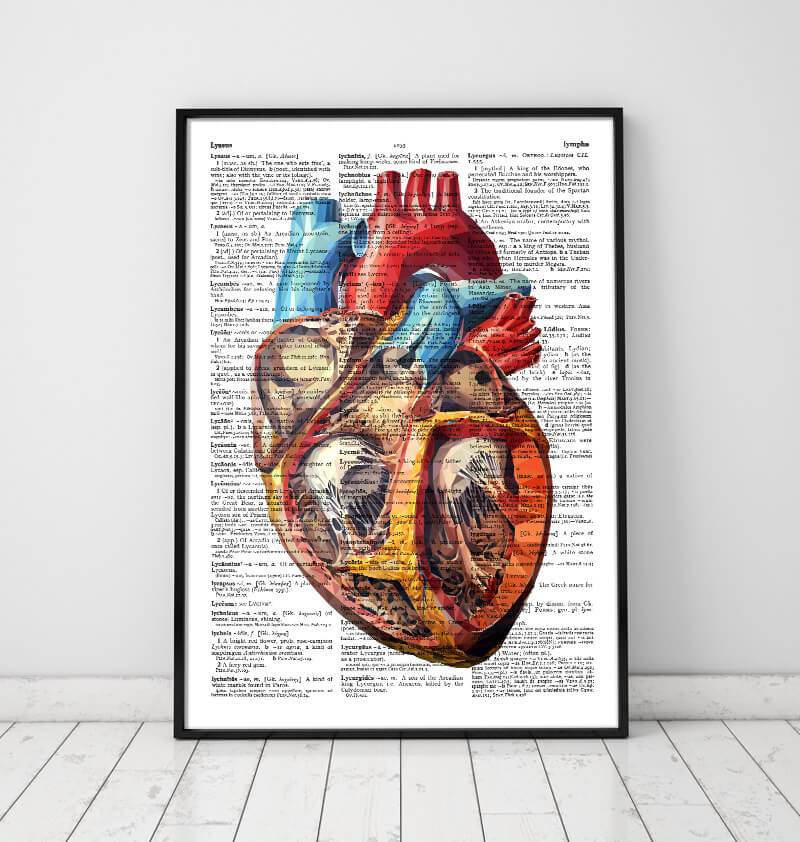 Heart anatomy dictionary art print – Codex Anatomicus