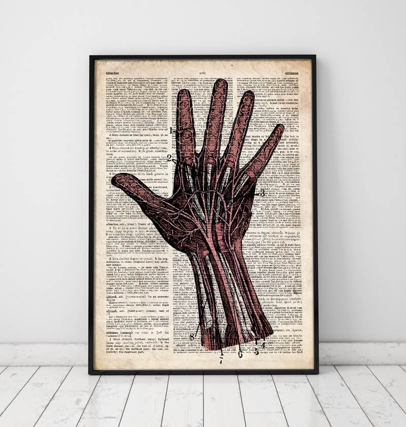 Hand anatomy dictionary art print – Codex Anatomicus