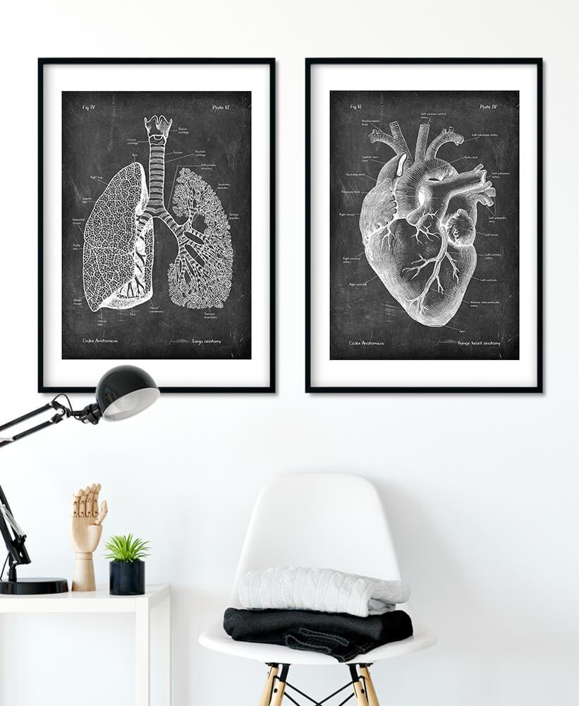 Lungs anatomy art - Chalkboard - Codex Anatomicus