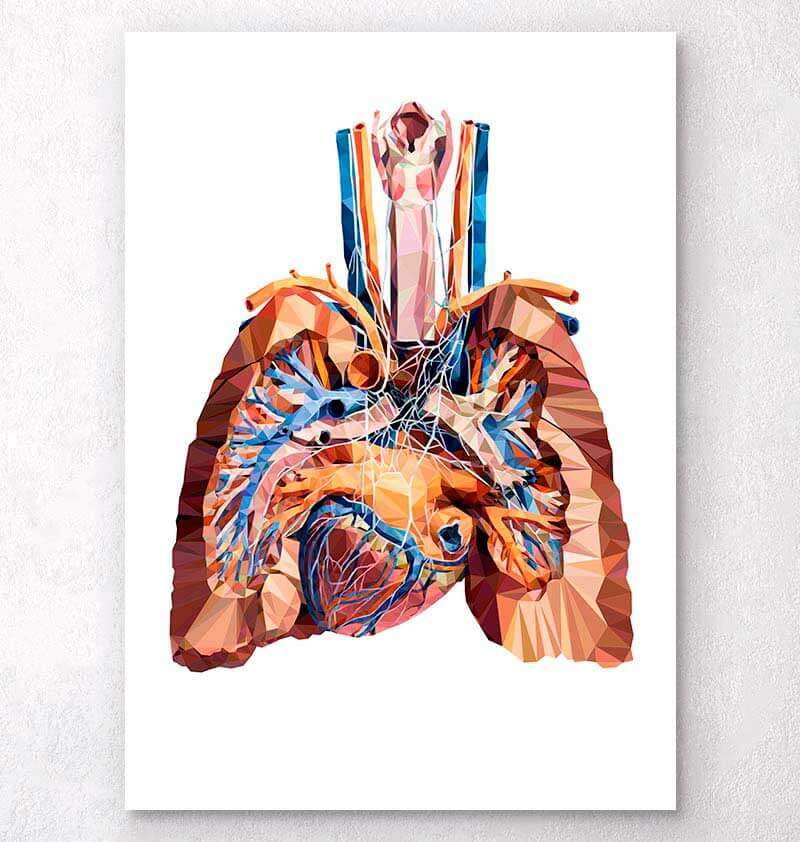Geometrical Heart and lungs art poster – Codex Anatomicus