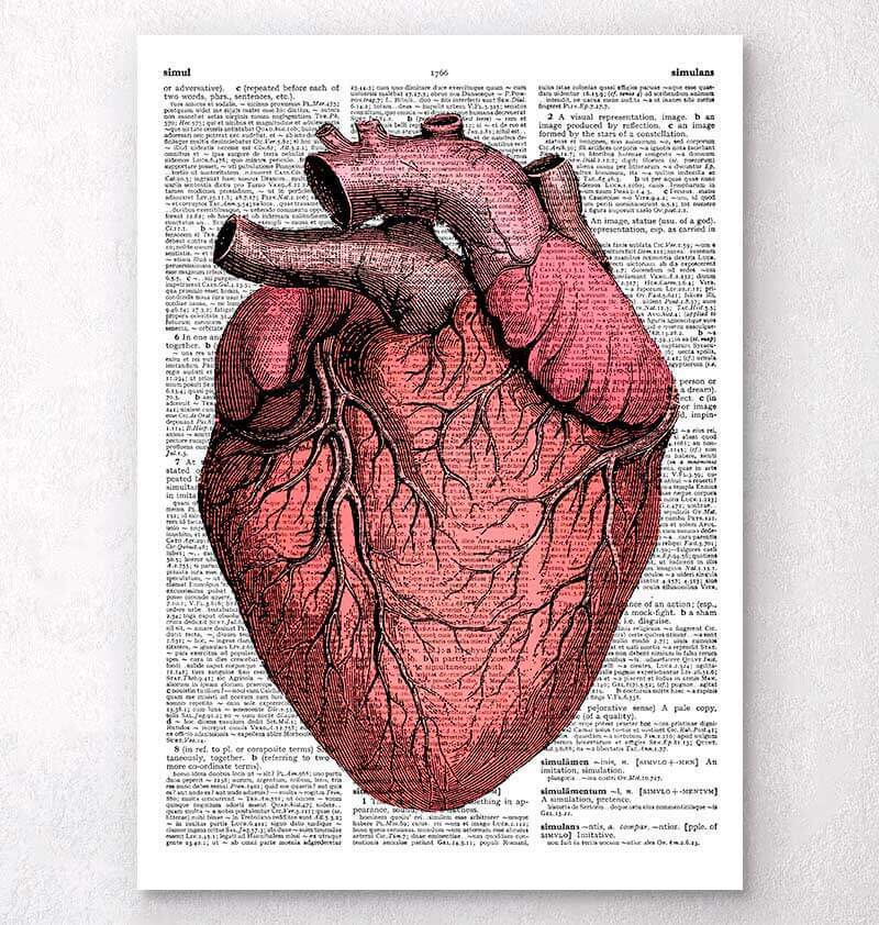 Word Art Heart Anatomy