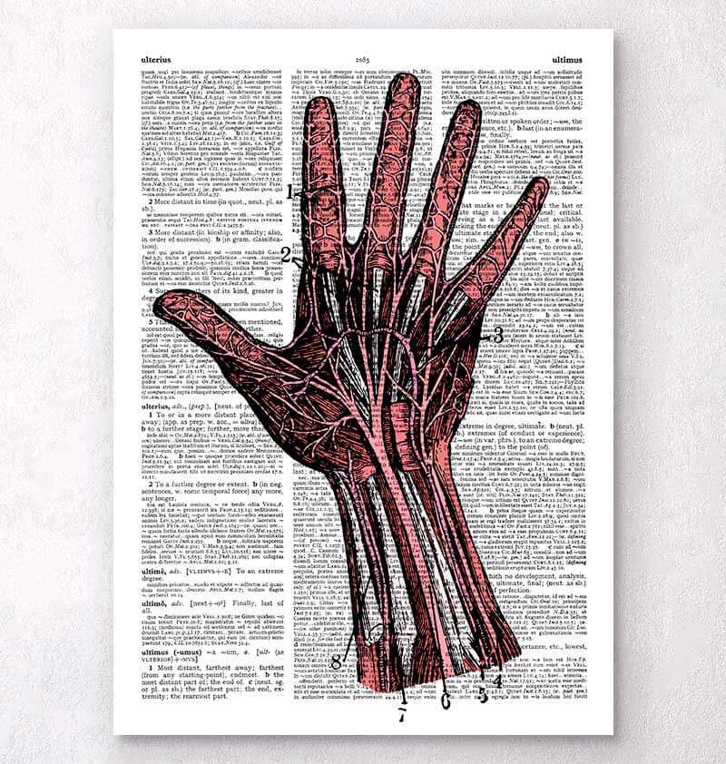 Hand anatomy dictionary art print – Codex Anatomicus
