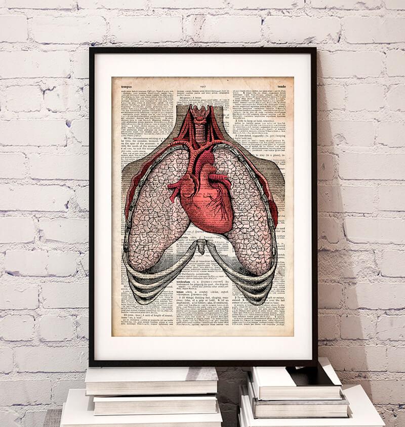 Heart and lungs dictionary art print – Codex Anatomicus