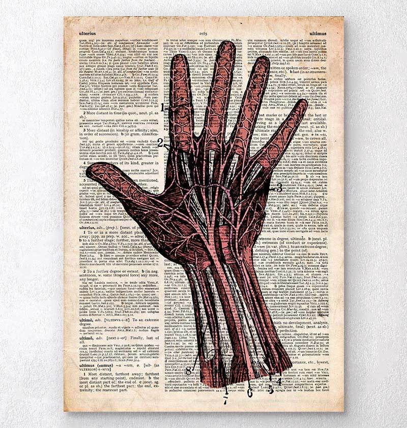 Hand anatomy dictionary art print – Codex Anatomicus