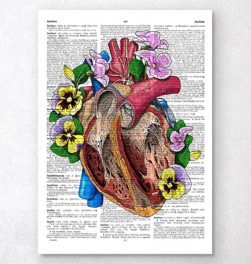 Word Art Heart Anatomy
