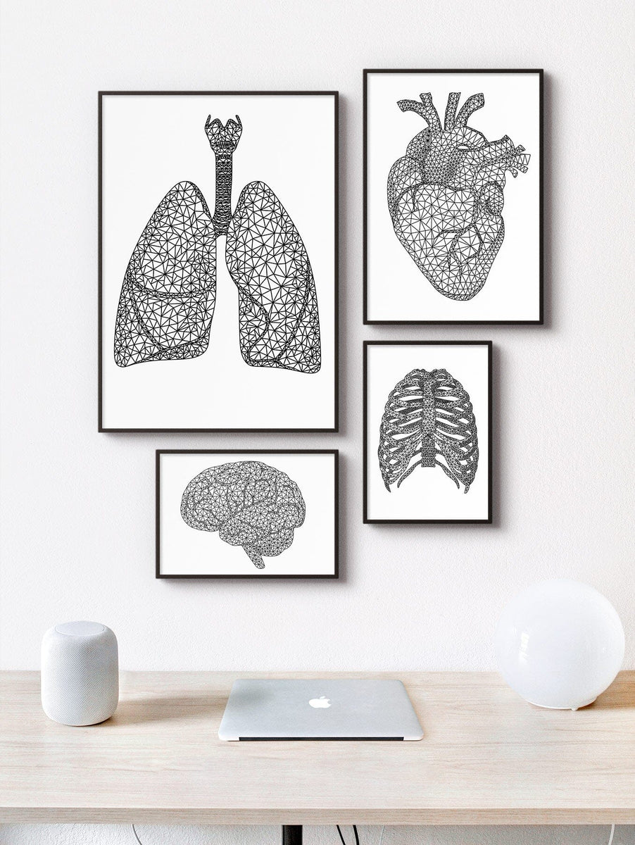 Minimal geometrical lungs anatomy art print - Codex Anatomicus