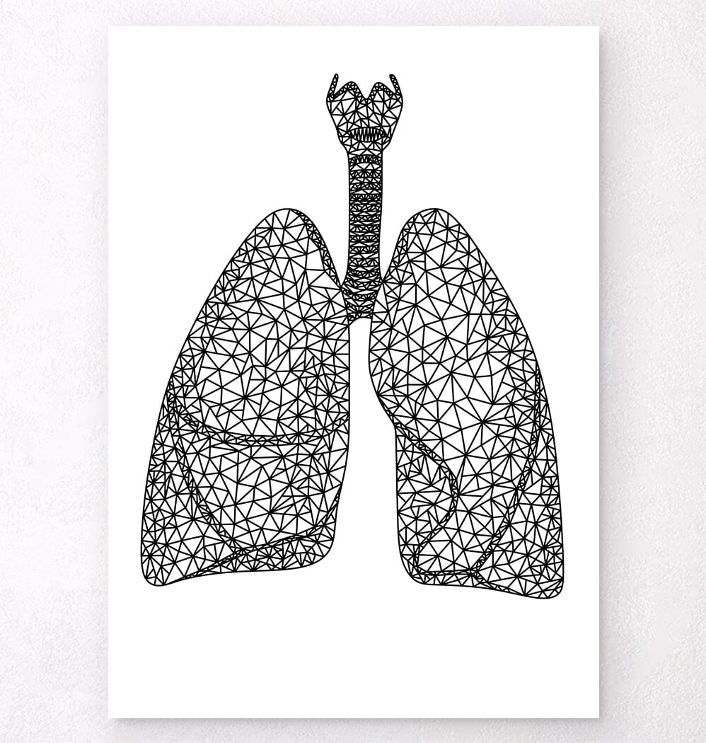 Minimal geometrical lungs anatomy art print - Codex Anatomicus