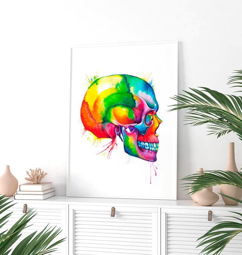 Skull anatomy art - Codex Anatomicus
