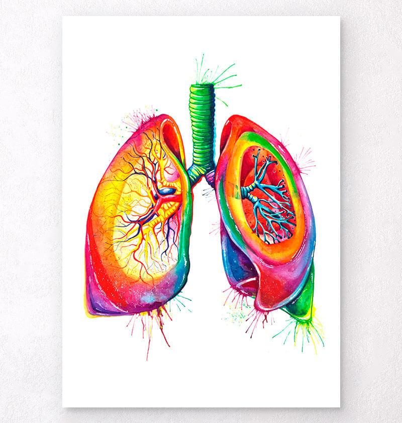 Lung anatomy art - Codex Anatomicus