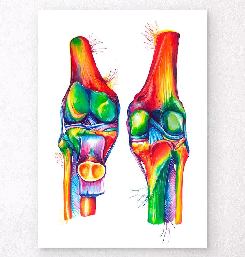 Knee Coloring Page The Anatomy Of Style: Learning To Draw: The Legs