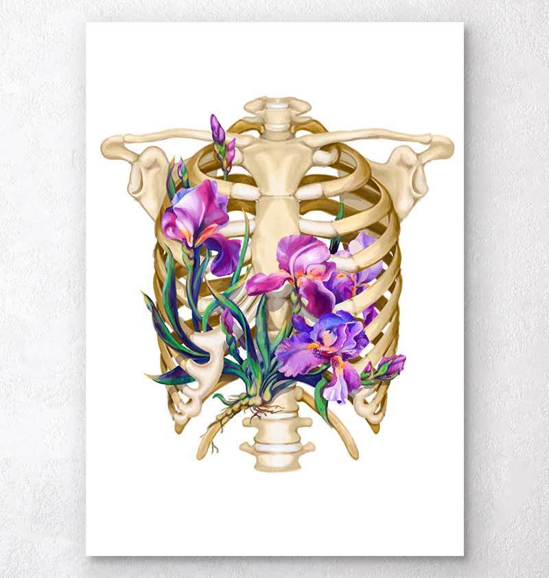 Floral rib cage anatomy art print – Codex Anatomicus
