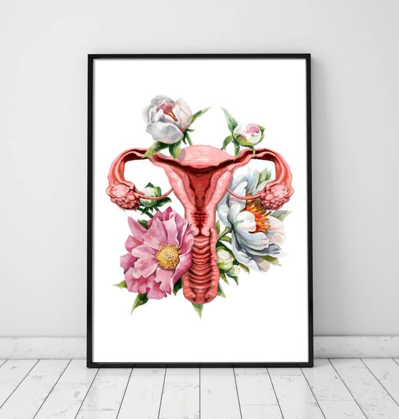Floral uterus anatomy art print - Codex Anatomicus