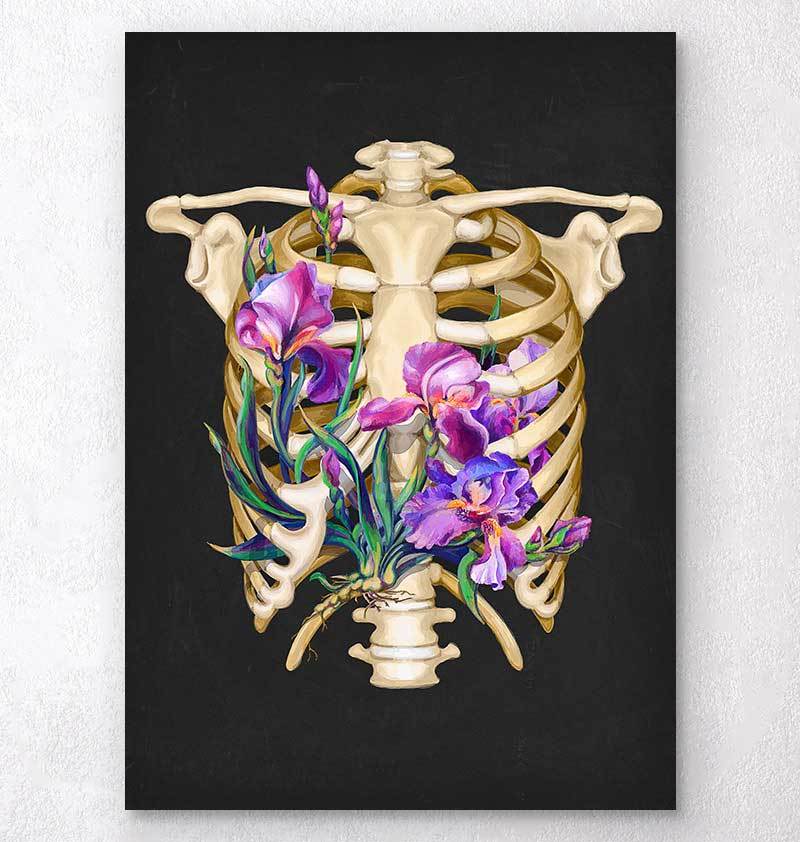 Floral rib cage anatomy art print - Codex Anatomicus