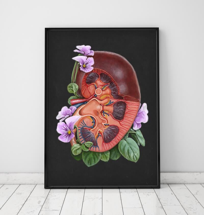 Floral kidney anatomy art print – Codex Anatomicus