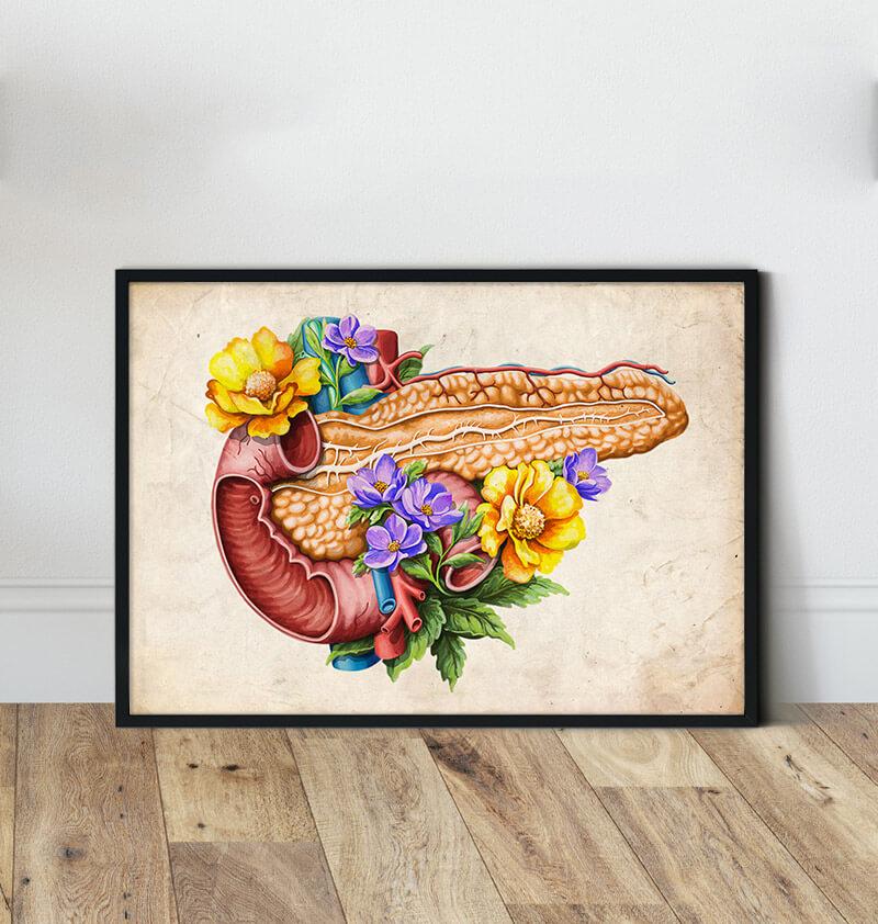 Floral pancreas anatomy art print – Codex Anatomicus