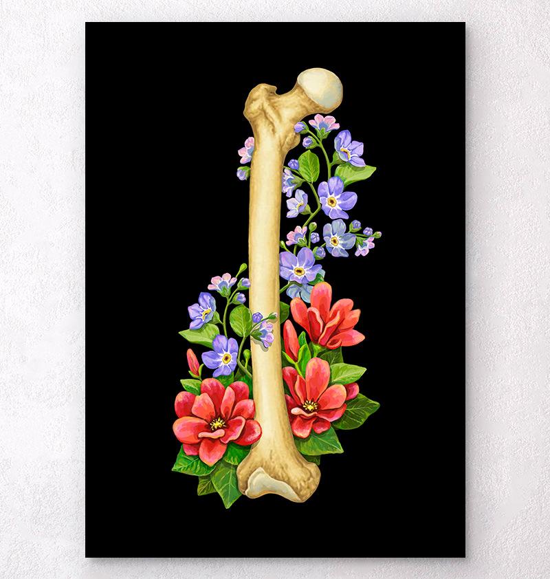 Femur anatomy - Floral - Codex Anatomicus